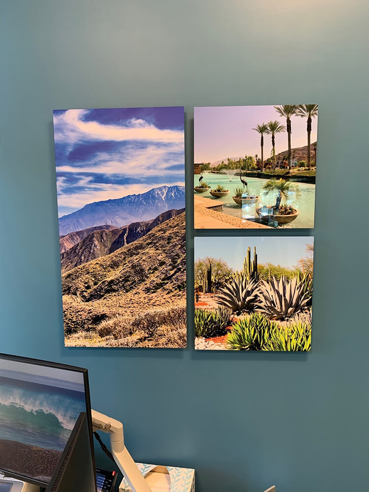 Wall Murals and Graphics - Starfish Signs & Graphics